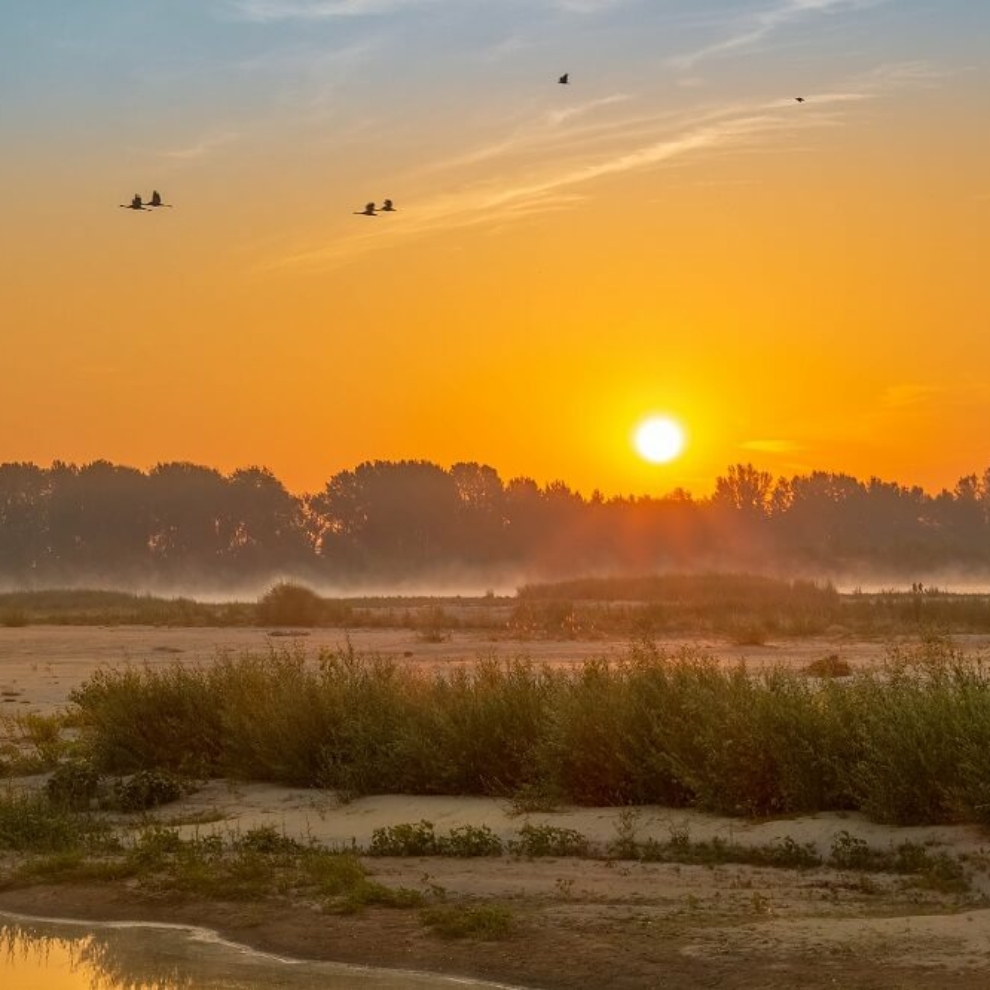 Fietsen van Krakau naar Warschau langs de rivier de Wisla in Polen